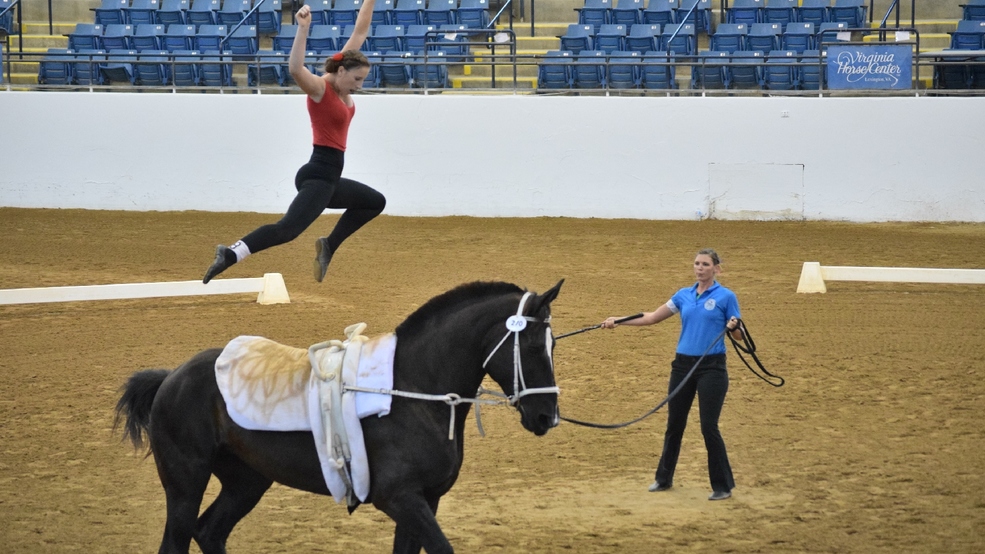 The Transition Vaulters, Equestrian Vaulting Team | WCYB