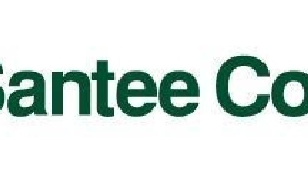 Santee Cooper to enclose coal ash pond | WACH