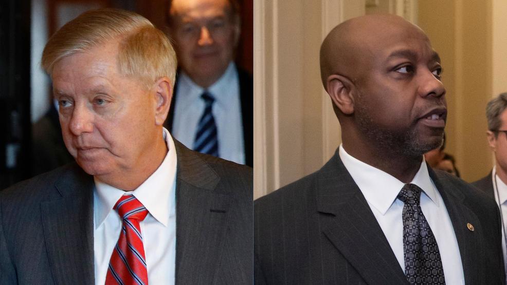Lindsey Graham, Tim Scott praise President Trump's response to Iran ...