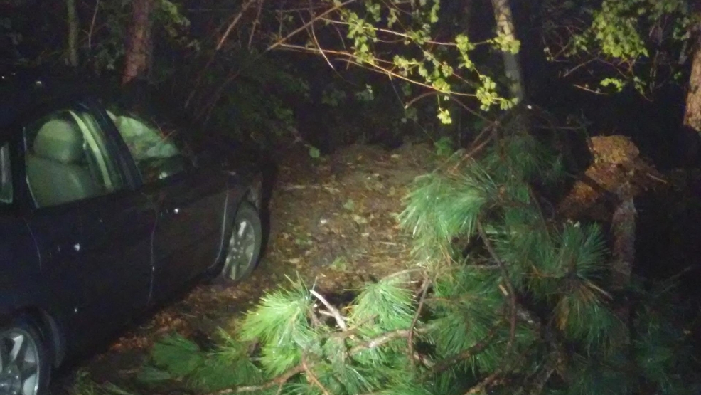 Rochester teen flees after car crash in the woods | WGME