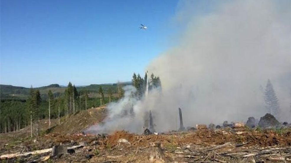 Crews to monitor wildfire near Tillamook State Forest through Sunday | KATU