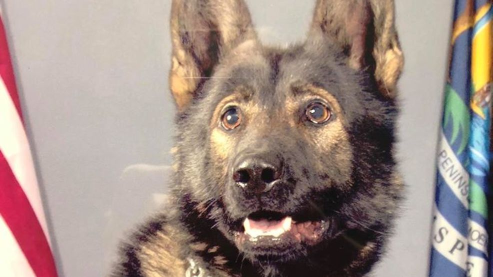 Police department honors fallen K9 officer | WPBN